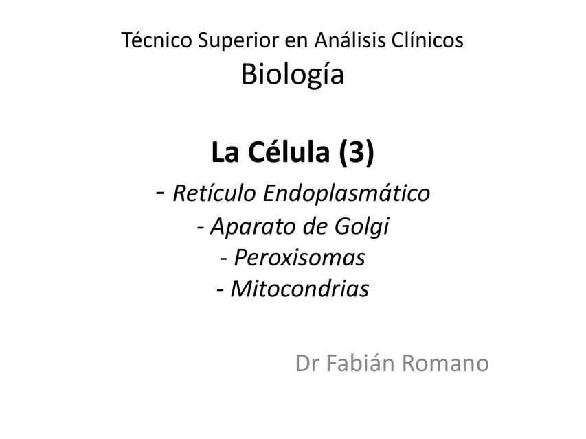 Flashcards de celulas 2 | Por Ivanna Torres | uDocz