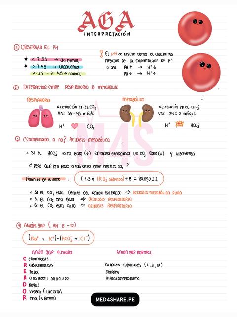 Interpretacion de AGA | Med4Share | uDocz