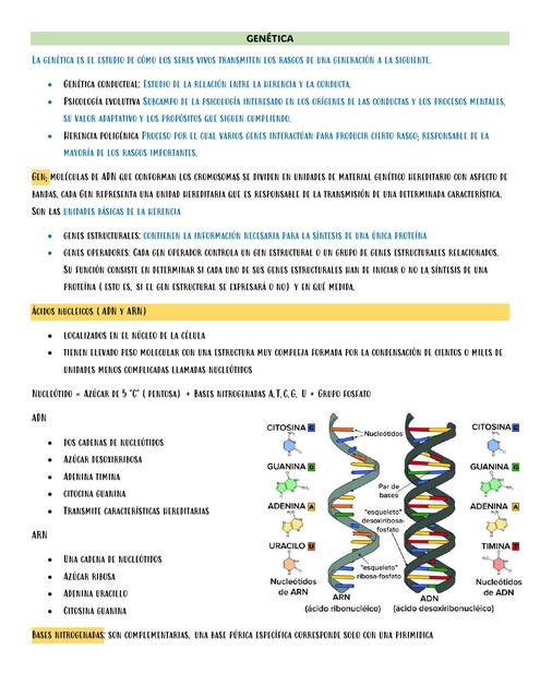 Flashcards de GENÉTICA | Por Dennn Valero | uDocz