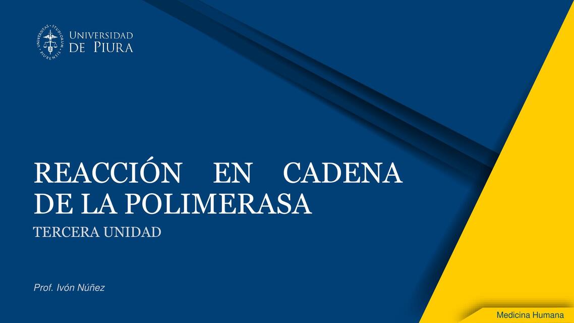 LABN%C2%B008+PCR | Celeste Torres | uDocz