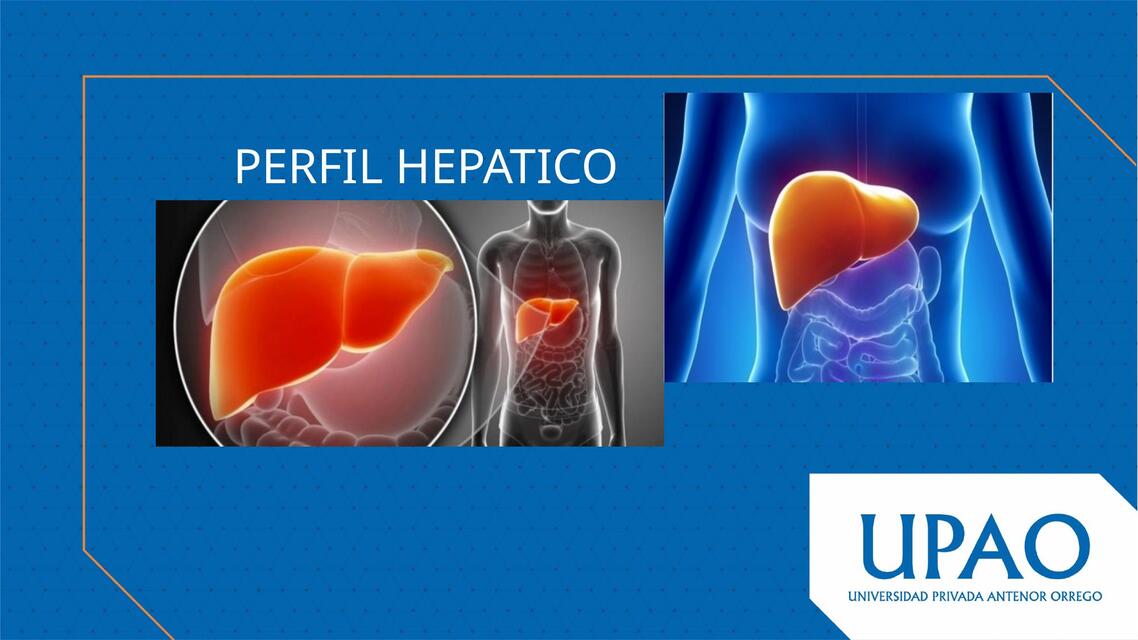 s10 Perfil Hepatico | Cristina Guzmán | uDocz