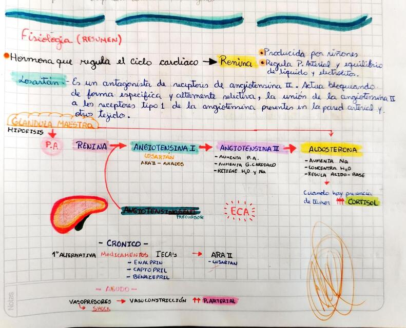 SRAA | Bri Pazmiño | uDocz