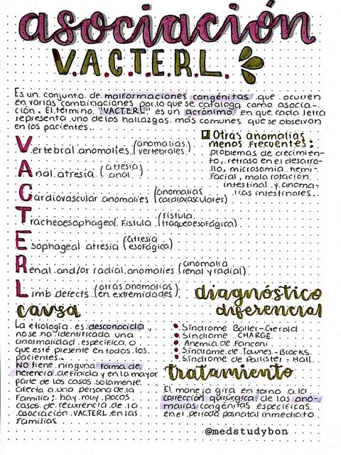 Asociación vacterl | Rvinsh Shcn | uDocz