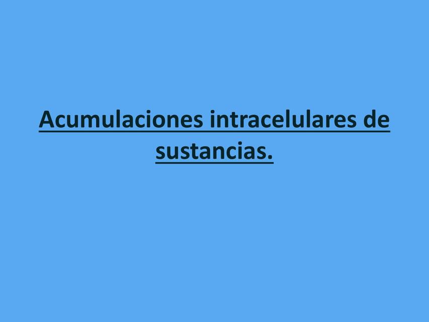 Presentación Acumulaciones intracelulares | Luzmarys | uDocz