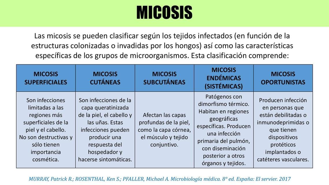 Micosis superficiales y cutáneas | Célula Diana | uDocz