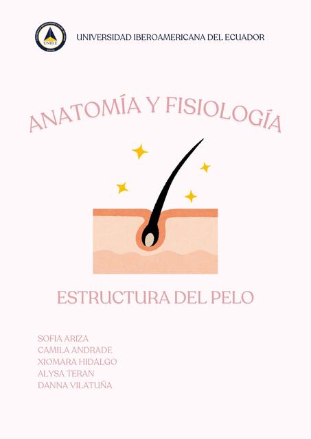 Flashcards de estructura y fisiología del pelo | Por Romina Terán | uDocz