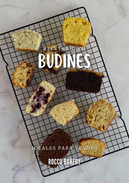 Budines pdf | Lourdes Fernández | uDocz