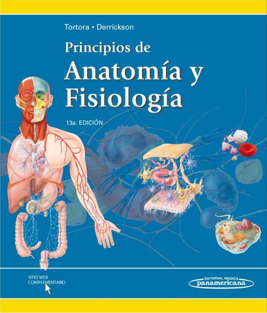 Principios de Anatomía y Fisiología Tortora | Ana Sofia | uDocz