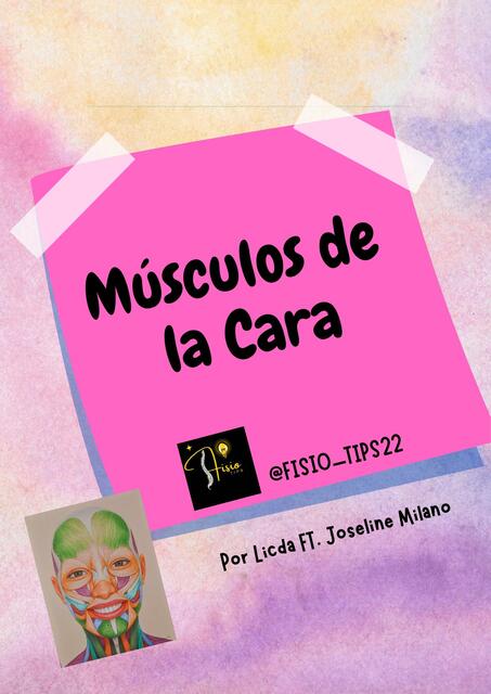 Músculos de la Cara | Fisio Tips | uDocz