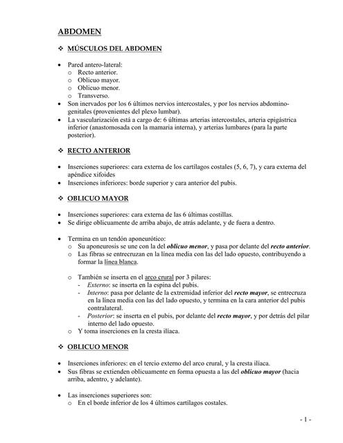 Resumen abdomen | Sam Phoyu | uDocz