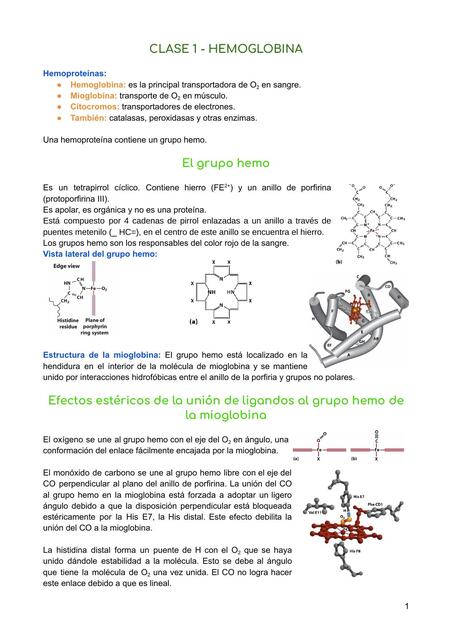 Profundizacion bioquimica | Sam Phoyu | uDocz