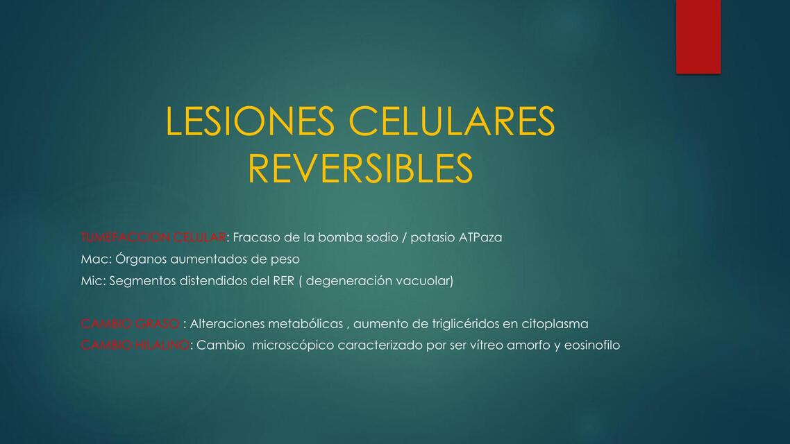 LESIONES CELULARES | santiago | uDocz