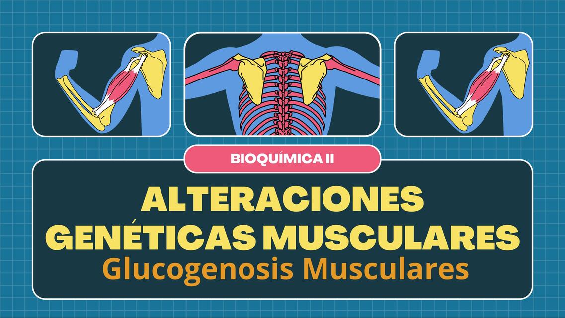 Alteraciones Genéticas musculares | Mia | uDocz