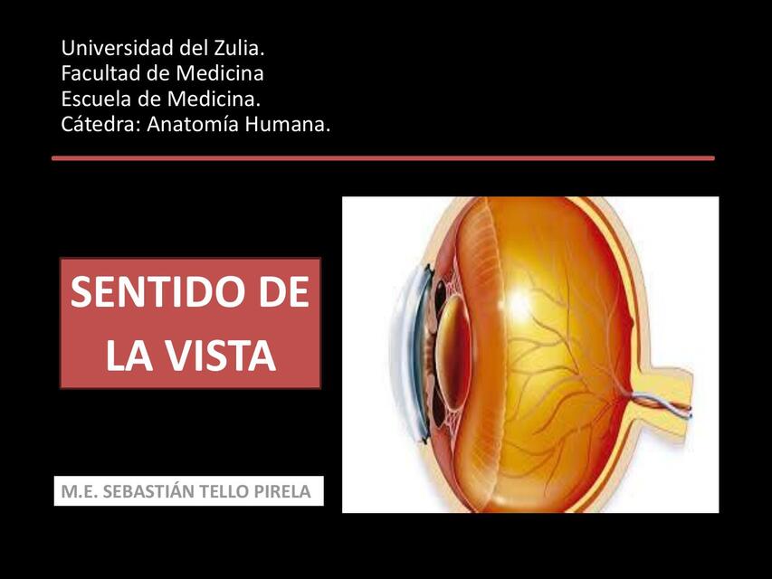 document | Ara | uDocz