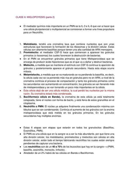 Clase 6 Word | STEPHANIA | uDocz