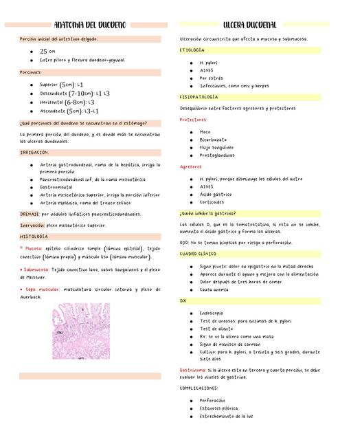 GASTRO | Mel | uDocz