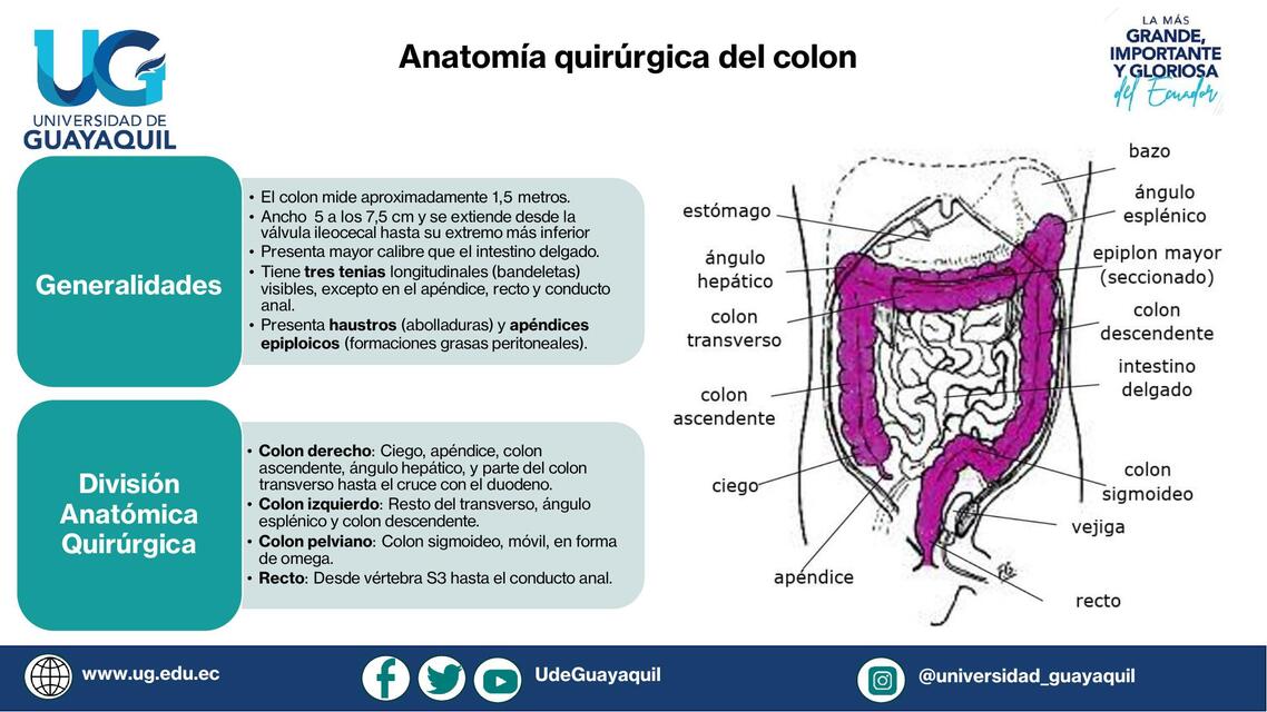 Cirugia de colon | Doctor_teco | uDocz