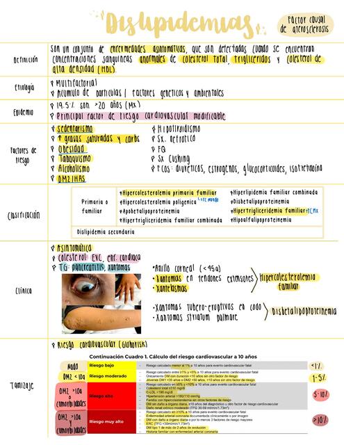 Dislipidemias | Josefa (@jomedstudent) | uDocz
