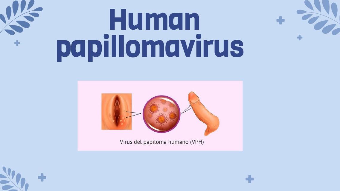 VPH INGLÉS | Lf | uDocz