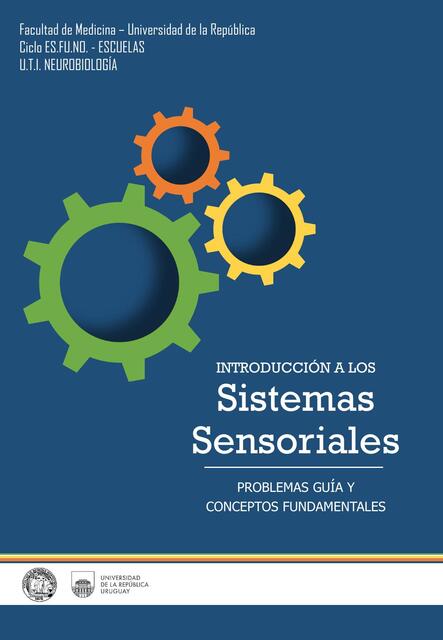 Guía SISTEMAS SENSORIALES | Sam Phoyu | uDocz