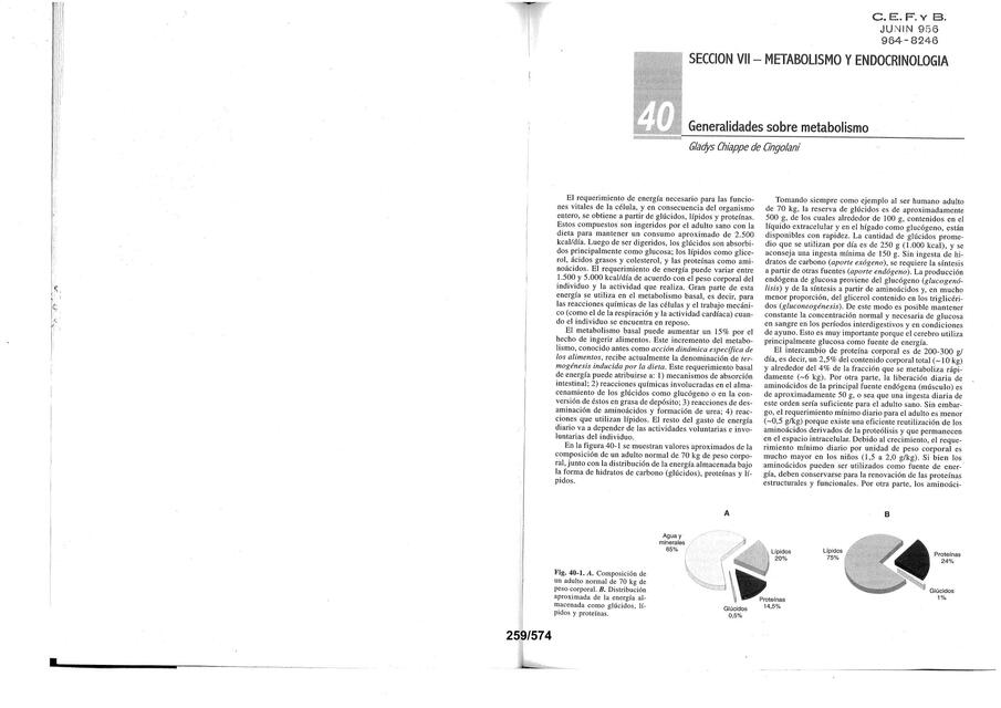Houssay Metabolismon y endocrinologia 7 Edicion | Sam Phoyu | uDocz