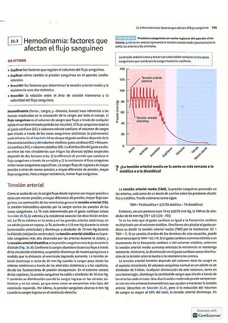 Hemodinamia | Jenny | uDocz