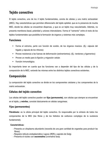 Tejido conectivo | Neuronita | uDocz