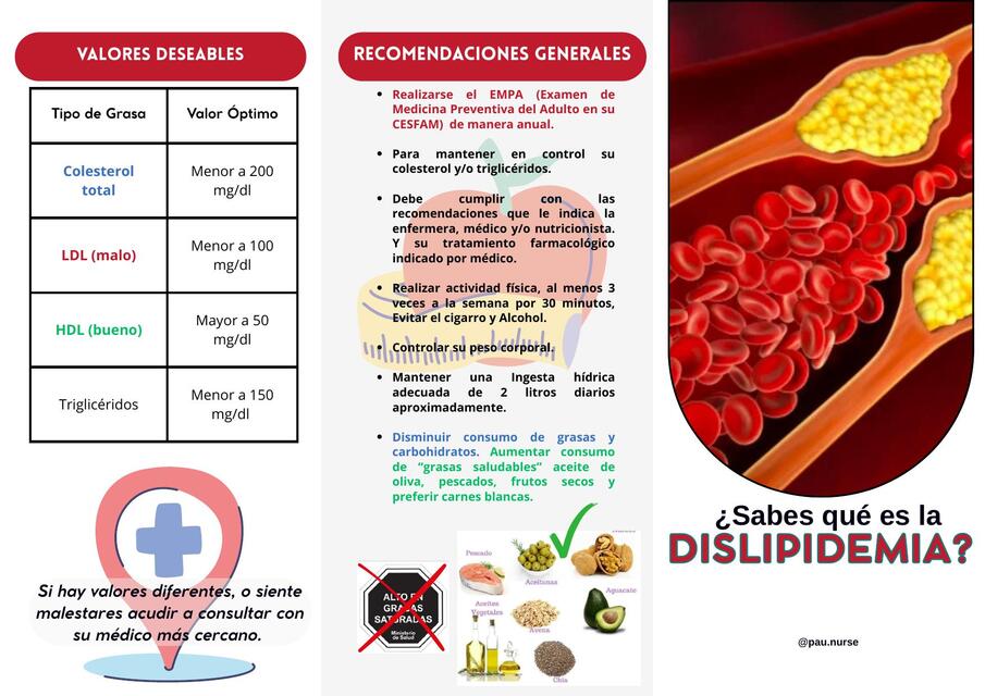 SABES QUE ES LA DISLIPIDEMIA | pau.nurse | uDocz