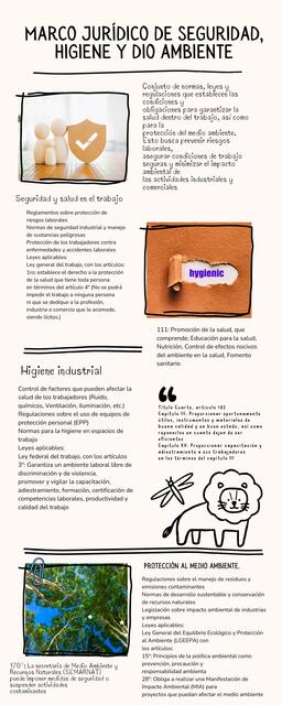 Infografía sobre Marco jurídico de seguridad hig | Sof | uDocz