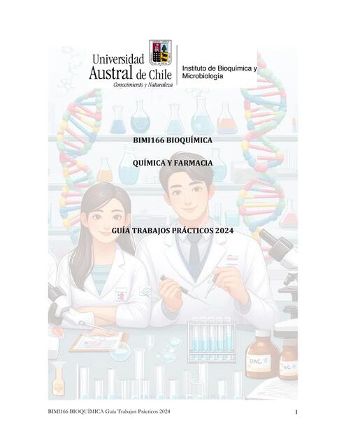 BIMI166 Guias prácticos | Manuel | uDocz