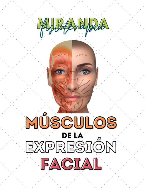 Músculos de la expresión facial | Miranda Fisioterapia | uDocz