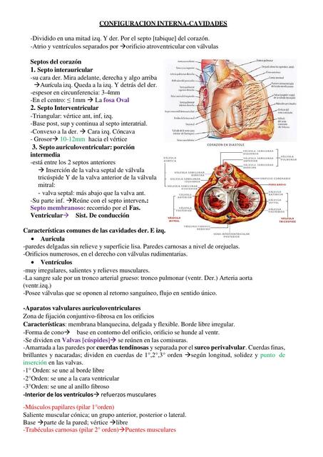 CONFIGURACION INTERNA | Mel | uDocz