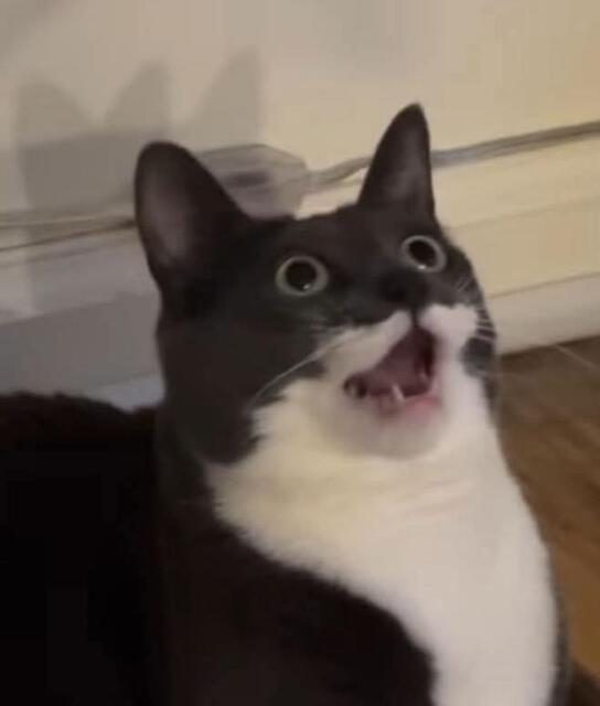 Integración Clínica - Casos Clínicos RESUELTOS | David Mallma Flores | uDocz