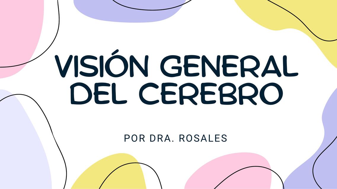 ENCEFALO CEREBELO Y TRONCO ENCEFALICO | Kelly Rosales | uDocz