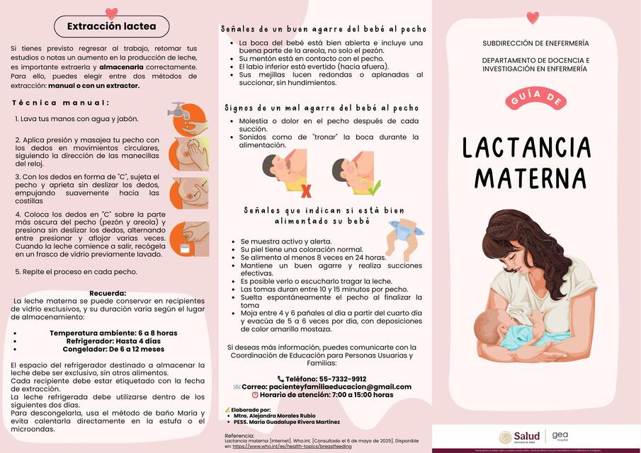 Tr ptico Lactancia Materna Web | Oscar | uDocz