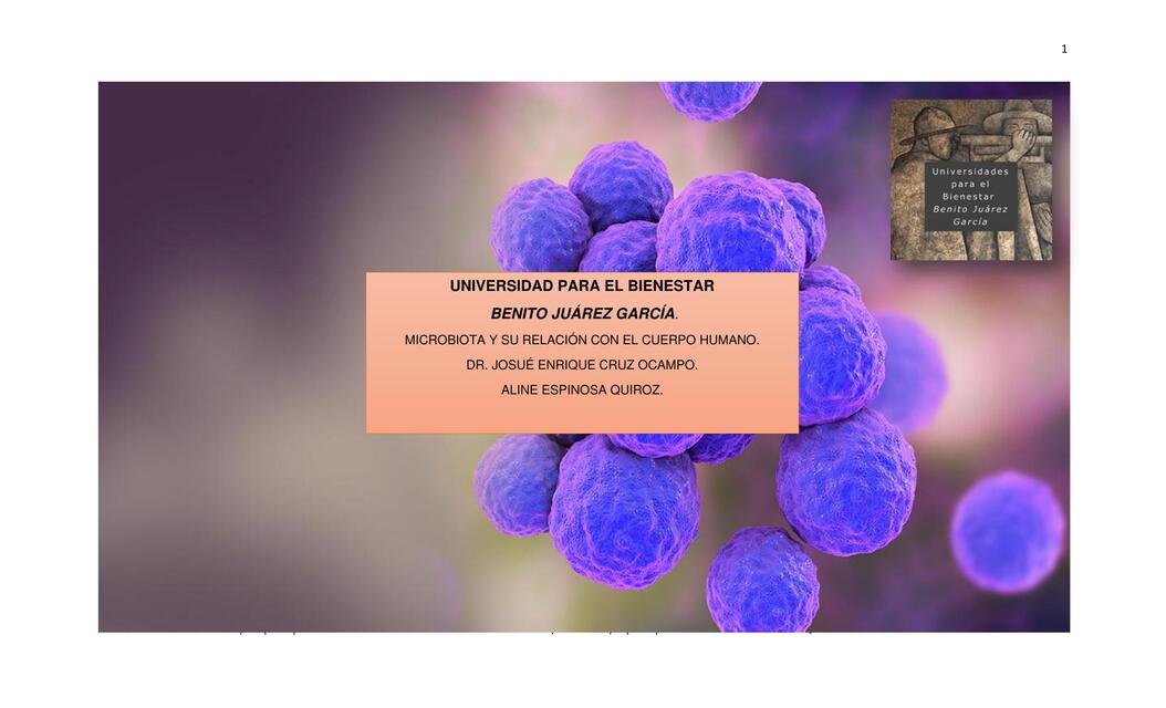 MAPA MENTAL STAPHYLOCOCCUS | Aline | uDocz