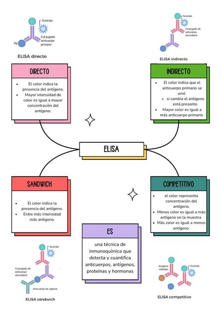ELISA mapa conceptual | Mi | uDocz