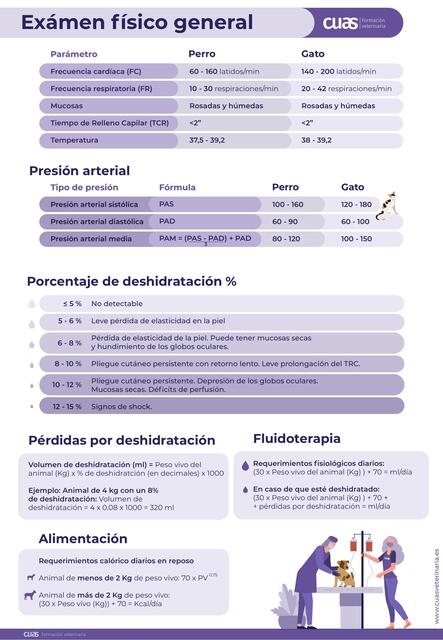 ATV guias | carolina pia | uDocz