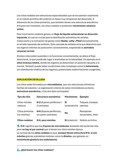 Exposición explicación | Deku Sonrisa UwU | uDocz