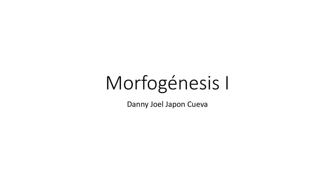 Morfogénesis I Clase I A | Kevin alexis | uDocz