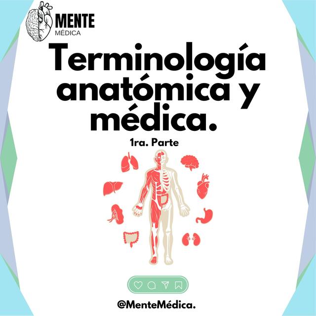 TERMINOLOGÍA ANATÓMICA Y MÉDICA 1ra parte | Mente Médica | uDocz
