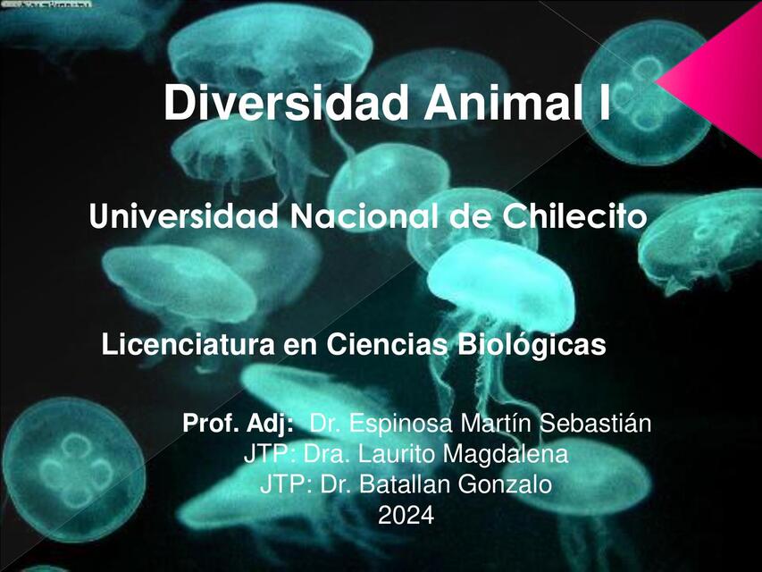 Unidad 1. Evolucion | Lourdes peralta | uDocz