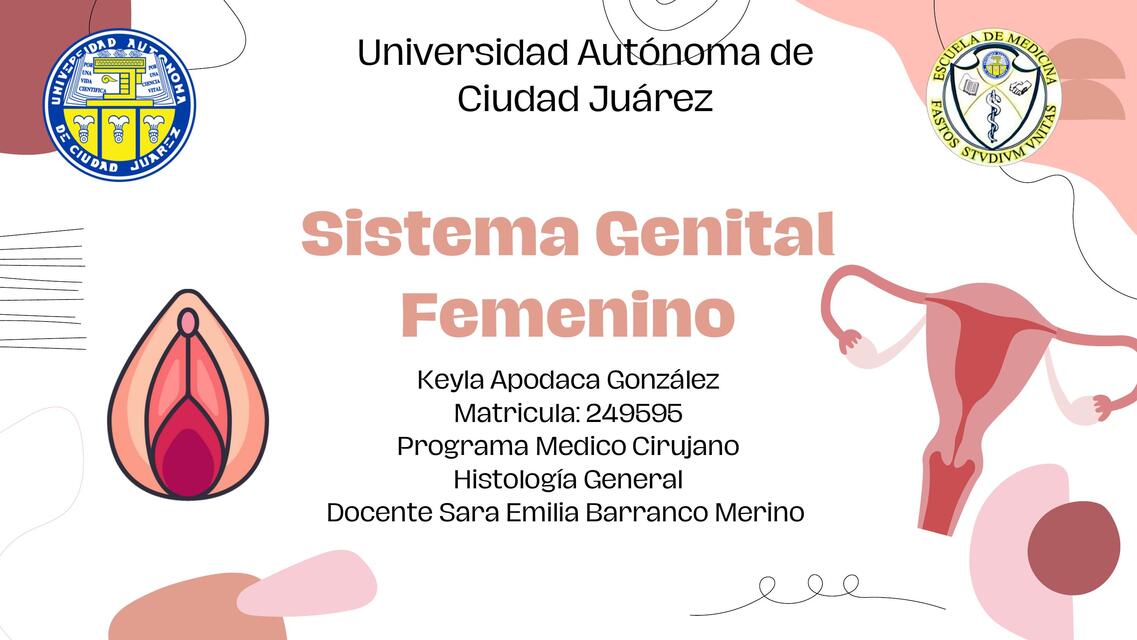 Sistema genitourinario femenino | Keyla | uDocz