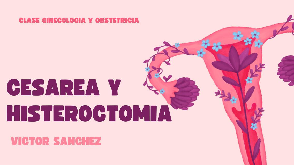 Cesárea y histerectomía | Victor Ruben Sanchez Martinez | uDocz