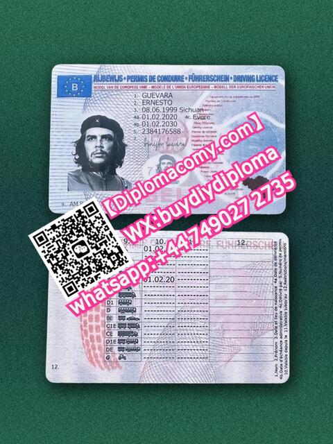 订购比利时驾照 高仿比利时驾照 Belgian drivers license_比利时驾照DL | IDMAKER_ONLINE | uDocz