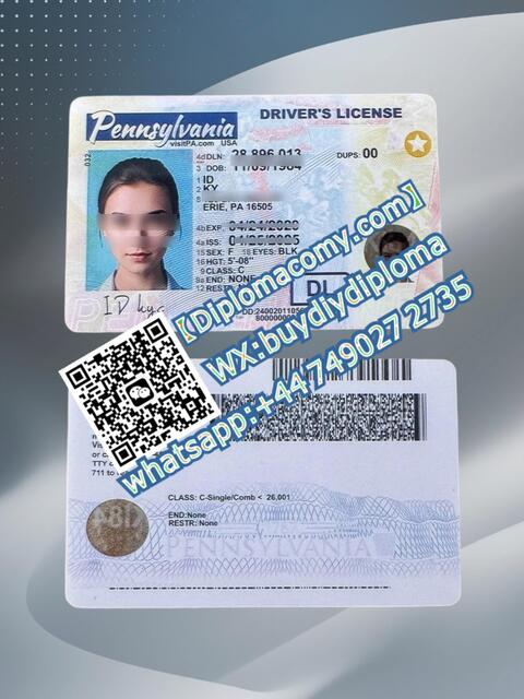 How to Buy a Pennsylvania Driver License Online?_ID Maker | Tehhe Licy ...