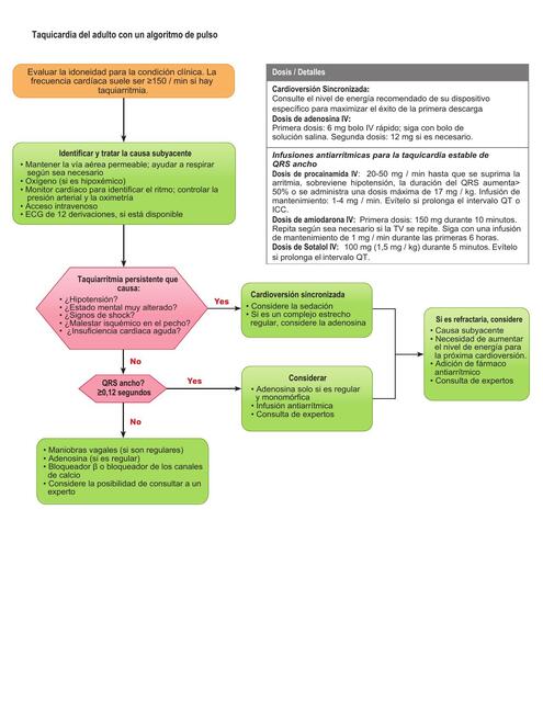 AlgorithmACLS Tachycardia | Rene Abarca | uDocz