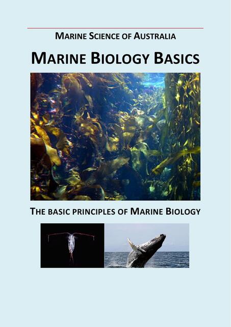 Marine Biology Basics ebook | Naylah | uDocz