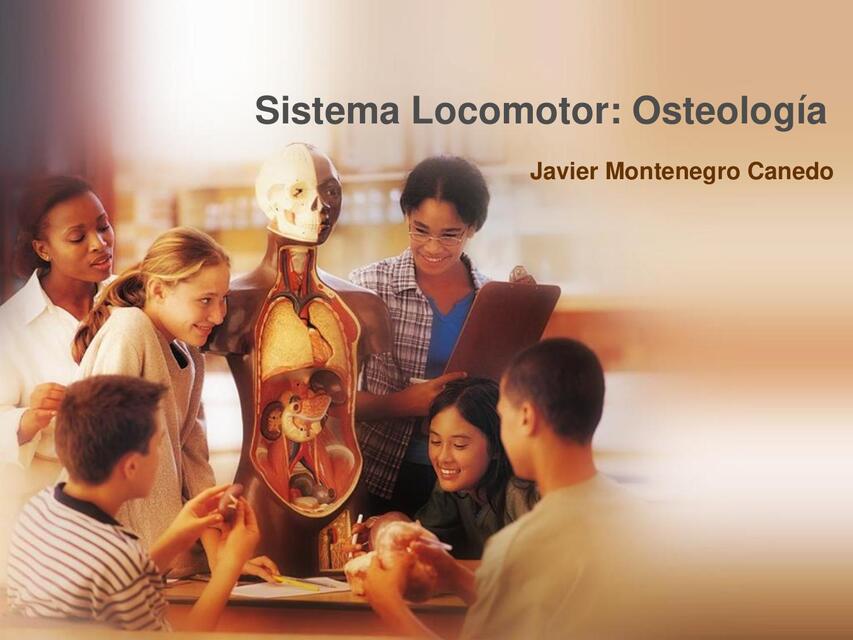 Sistema Locomotor Osteologia | katalina | uDocz
