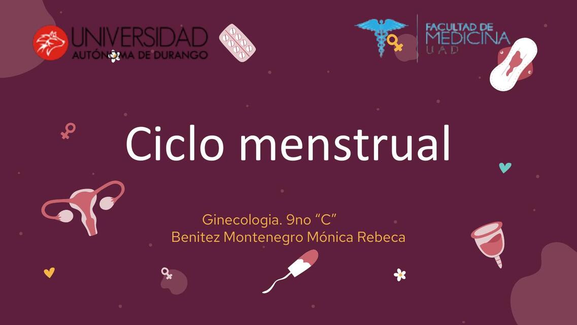 Ciclo Menstrual | Rebeca Benitez Montenegro | uDocz